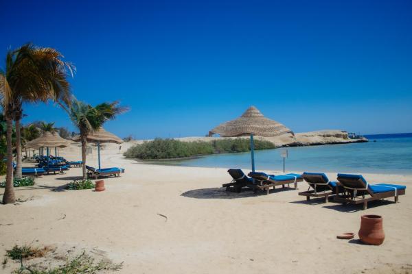 Neos Club Mangrove Bay Resort - Egypt
