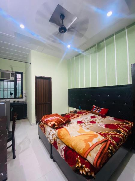 Green House - Phagwara