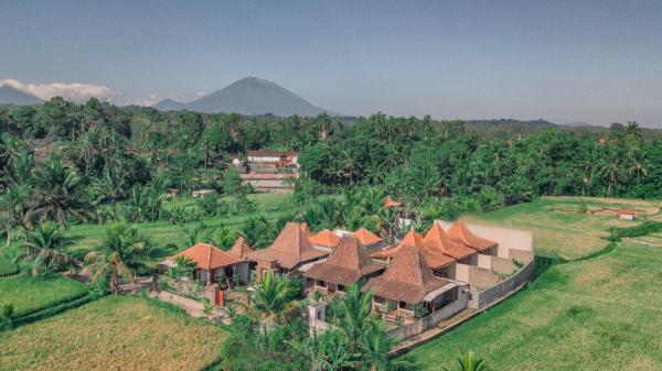 Gunung Gelagah Ubud Villas Ricefield View By Eps - Bali