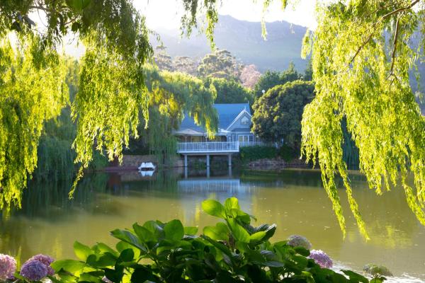 Farm Lorraine Manor House, Loft Cottage And Garden Cottage - Franschhoek
