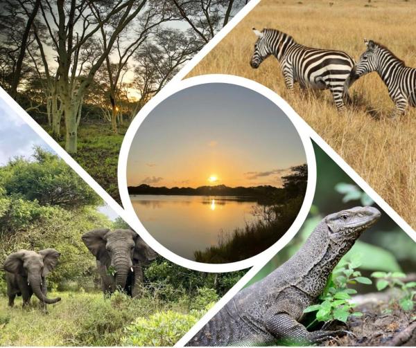 Bonamanzi Game Reserve - Hluhluwe