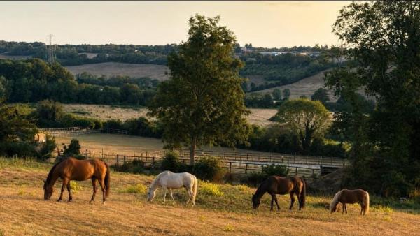 Luxury Cottage Escape Sleeps 4 With Hot Tub & Pool - Londra