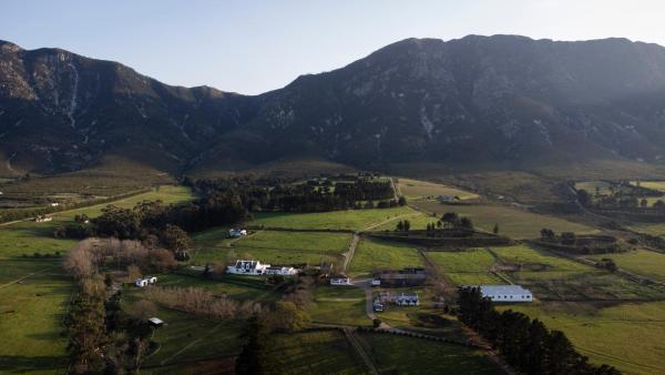 Hemel 'N Aarde Stud - Hermanus