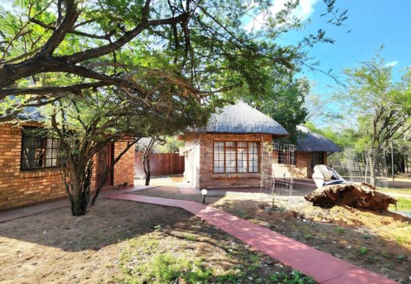 56 Kiaat - Marloth Park