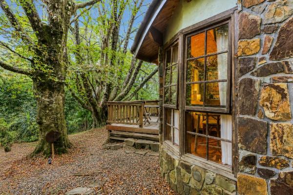 Olinda Beech 1 - 1 Bedroom - By Ready Set Stay - Dandenong Ranges
