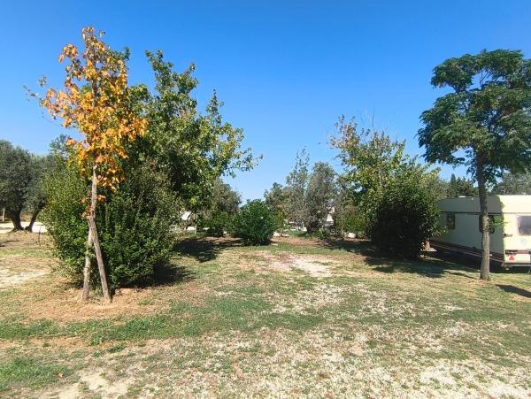 Agrivillage Orticillo - Tuscany