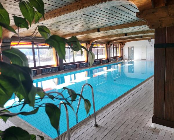 1000m Mountain, Terrassenpark-schonach, Indoor-pool, Sauna, Tennis Court, Forest, Ski, Wood-floor, Leather Sofa, Modern White Beds - Elzach