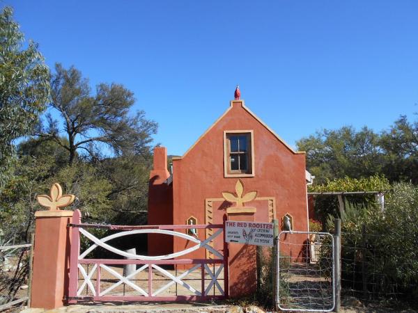 Red Rooster - South Africa