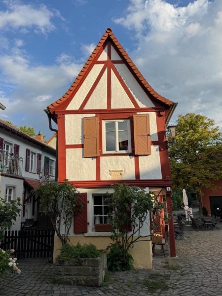 Freinsheim Anno 1554 - Freinsheim