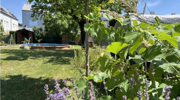 Sunny House In The Countryside - Vienne