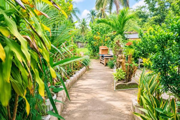 Camigs Vacation House - Camiguin