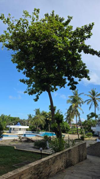 Sun And Sand-golden Sun - Diani Beach