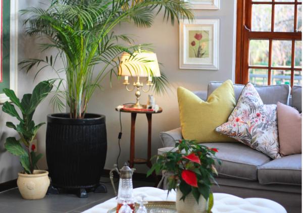 Pytchley House - Midrand