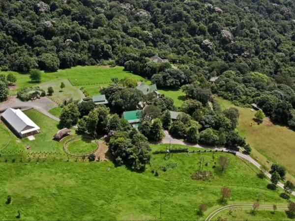 Old Kilgobbin Farm - Howick