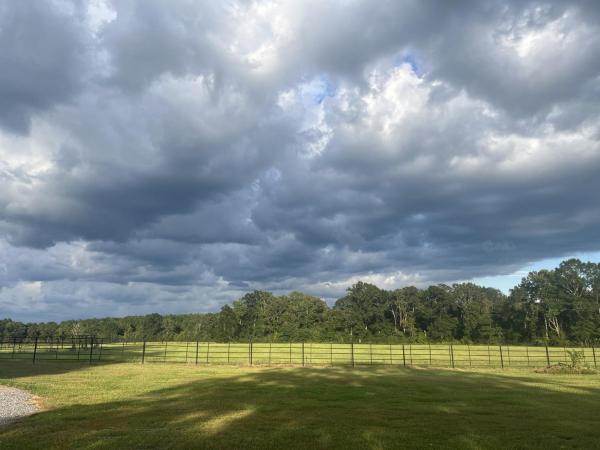 Windmill Trails, The Loft - Mississippi