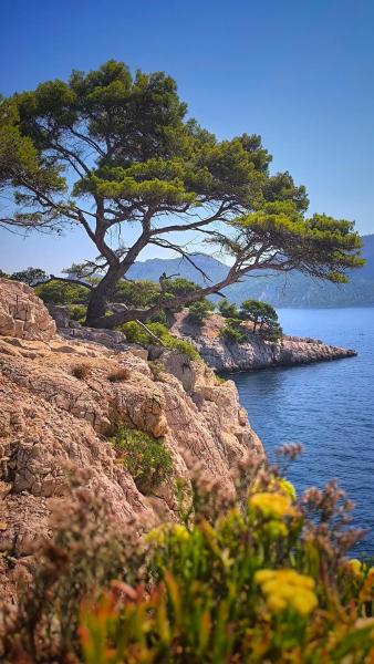 Villa Les 3 Lumières 8-10 Personnes, Clim, Piscine à Proximité Des Plages - La Ciotat