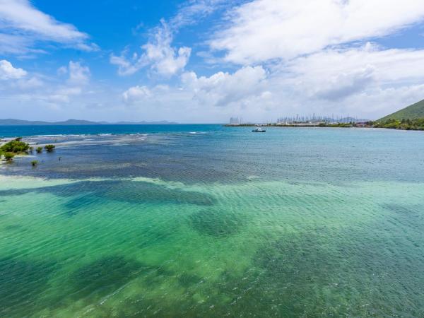 Suncrest Reef - East End