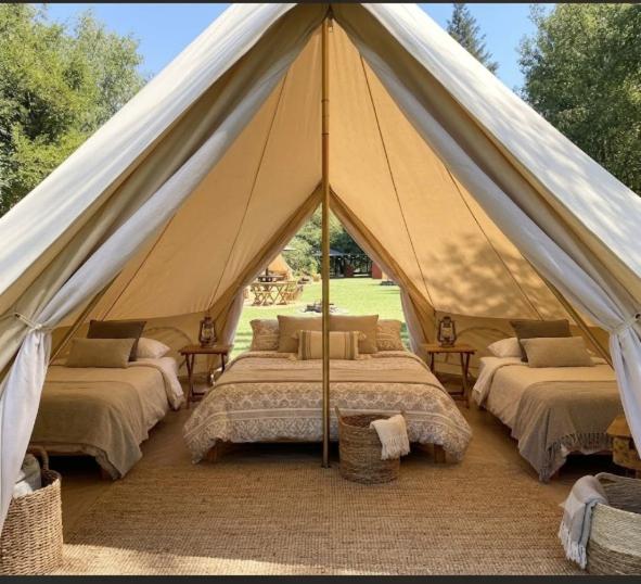 Glamping Palomar - San Felipe