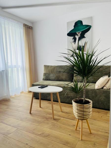 Apartament 25 - Toruń