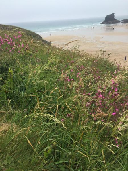 Cosy Lodge - Padstow
