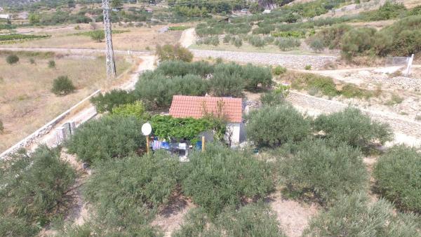 Holiday House With A Parking Space Bol, Brac - 12604 - Hvar