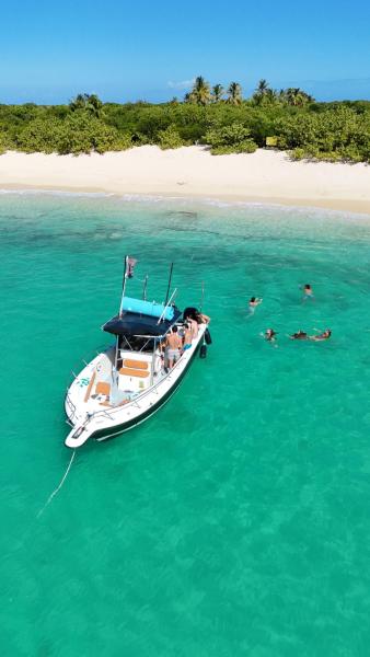 Black Octopus Tours - Puerto Rico