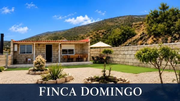 Finca Domingo - Canary Islands