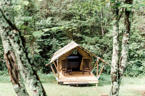 Charming Heated Glamping Tent With Outdoor Fire Pit In Knoxville, Tennessee - Knoxville, TN