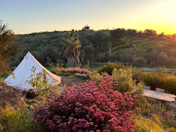 Secluded Glamping Tent Surrounded By Rolling Hills In Valley Center, California - Valley Center, CA