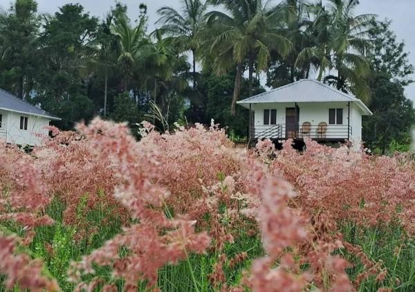 Cabanas Of Eden - Idukki