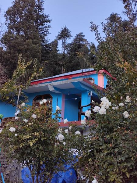 Titri Khona Homestay Kalpa - Kalpa