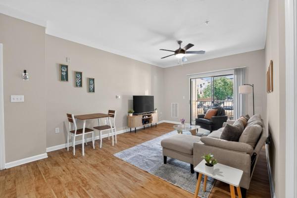 Modern 1 King Bed, 1 Bath Charlotte Apt - Charlotte, NC