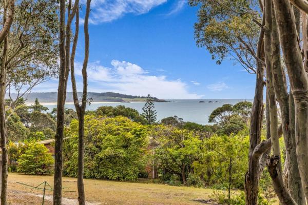 Bush & Beach Retreat - Amaroo Avenue 7 - Mimosa Rock