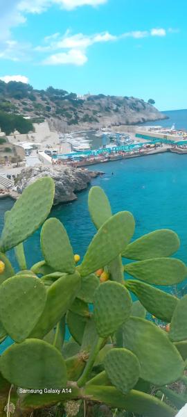 Casa Di Elisa - Santa Cesarea Terme