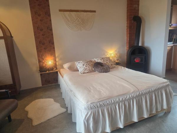 Apartmaji Picasso Design - Slovenia