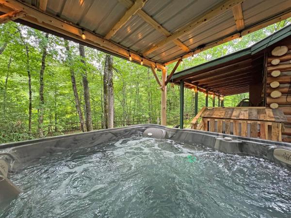 Tarklin Branch Cabin With Hot Tub - Bryson City, NC