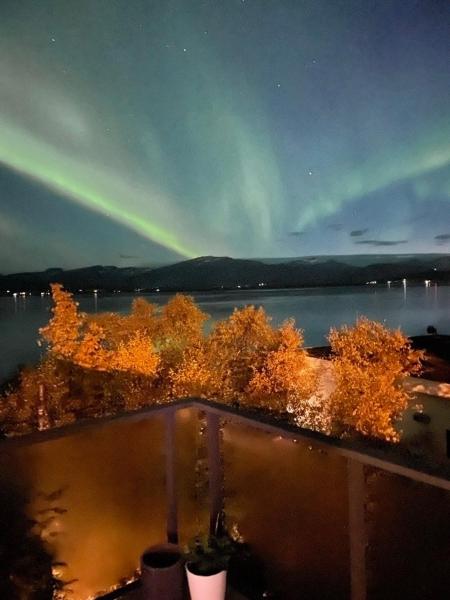 Great Location, Close To Telegrafbukta! - Tromsø