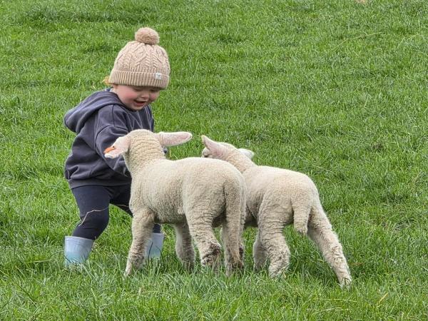 Jillypark Farmstay Experience Discover Authentic Farm Life Complimentary Breakfast Included - Warragul