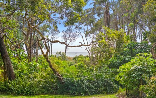 Driftwood On Home Beach - Absolute Beachfront - Point Lookout