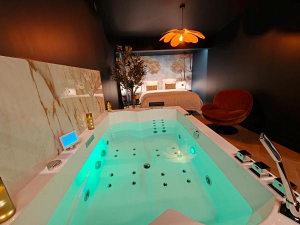 Suite Spa Premium Avec Balnéo Xxl Sauna Privatif - Provins
