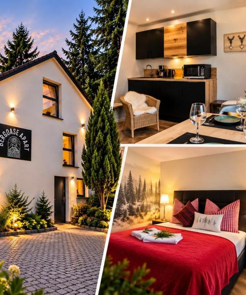 Bergoase-apart Am Feldberg - Hinterzarten
