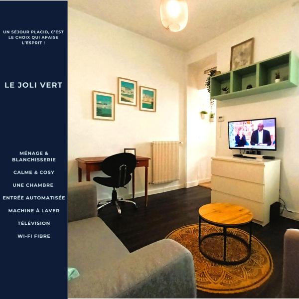 Le Joli Vert - T2 - Cosy - Wifi - Tv - Lave-linge - Vouvray