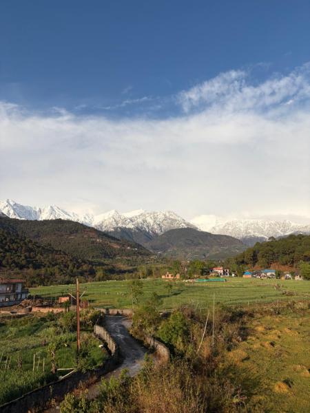 The New View - Palampur