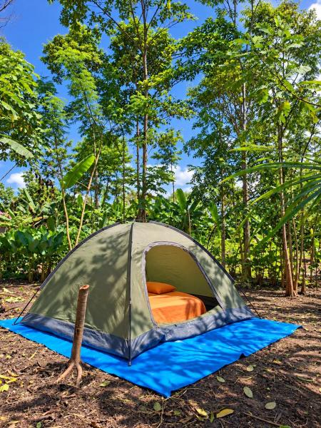 Jungle Camp - Amazonas, Colombia