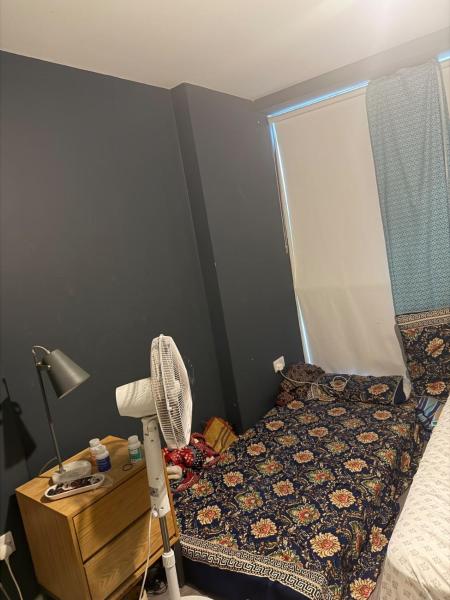 The Vest, Apt 217 - Dublin