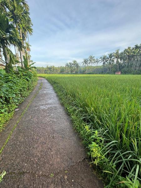 Stayatpadyvillage - Kasaragod