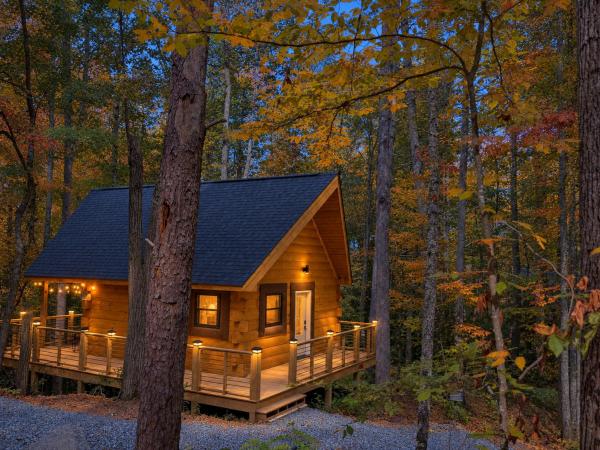 Just Opened! Luxury Cabin W Hot Tub - Gatlinburg, TN