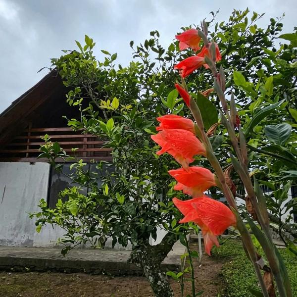 Bonita Y Acogedora En Santa Elena Nanegalito - Ecuador