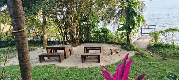 Perch By The Sea 2 - Thalassery