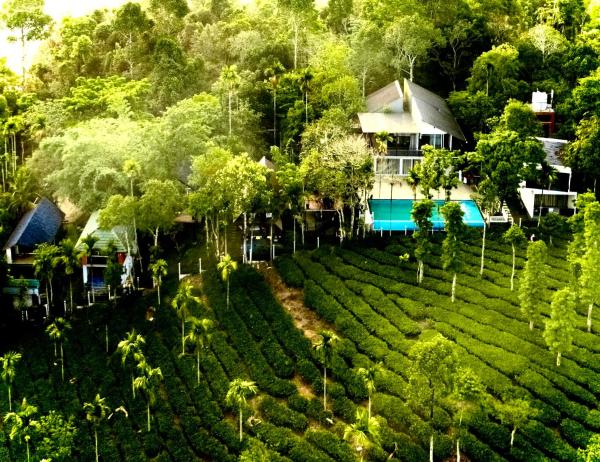 Hayashi Resort - Kerala